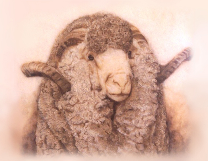 Doris Golder Wool Art Gallery - The Riverina