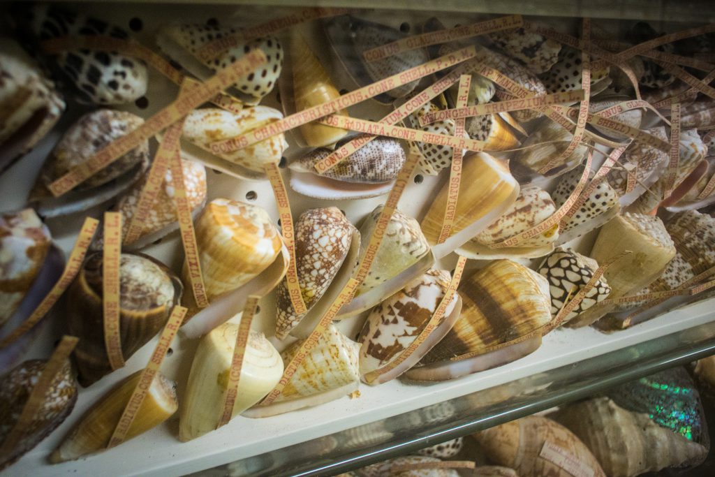 Temora Rural Museum - The Riverina