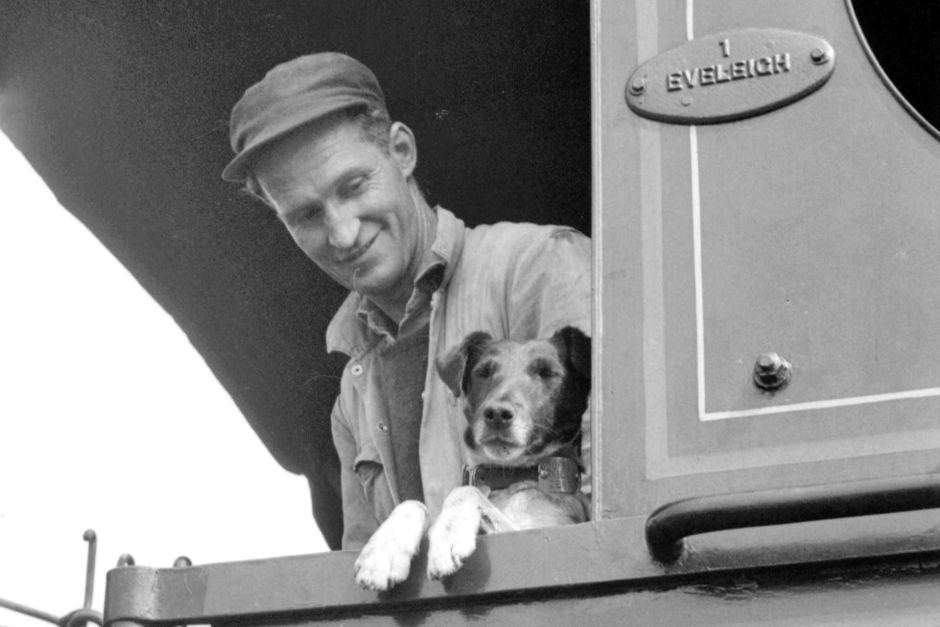 Boofhead the Railway Dog - The Riverina
