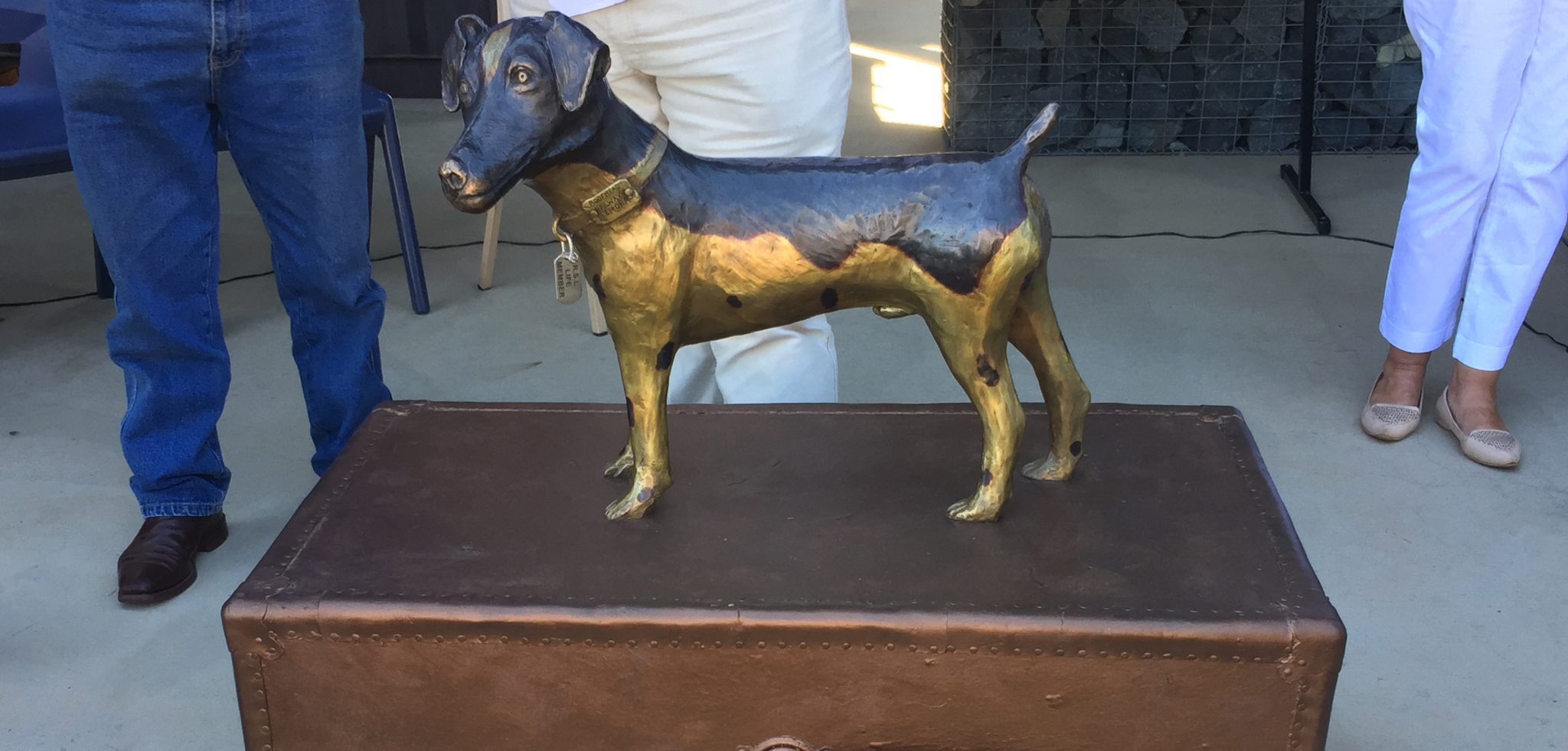 Boofhead the Railway Dog - The Riverina