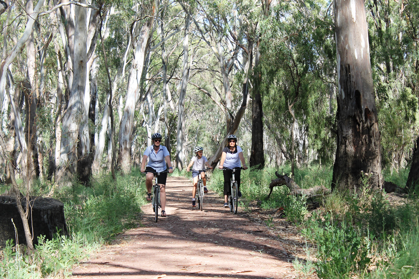 Bidgee Riverside Trail - The Riverina