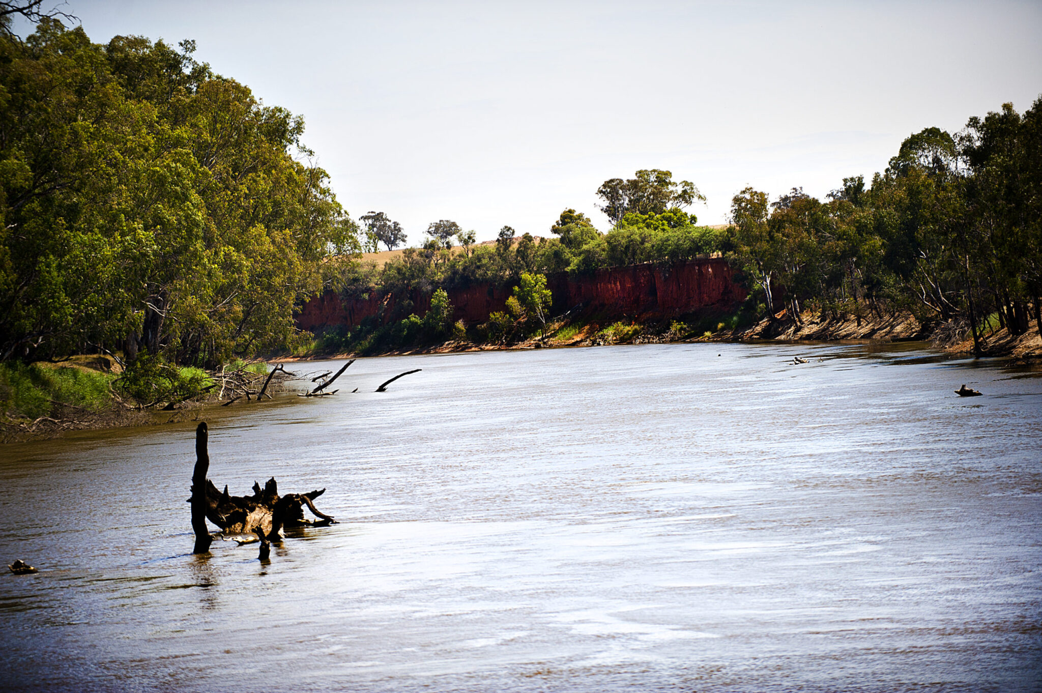 Narrandera Flora and Fauna Reserve - The Riverina
