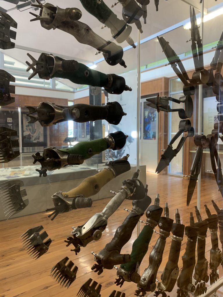 Shear Outback: Australian Shearers Hall of Fame - The Riverina