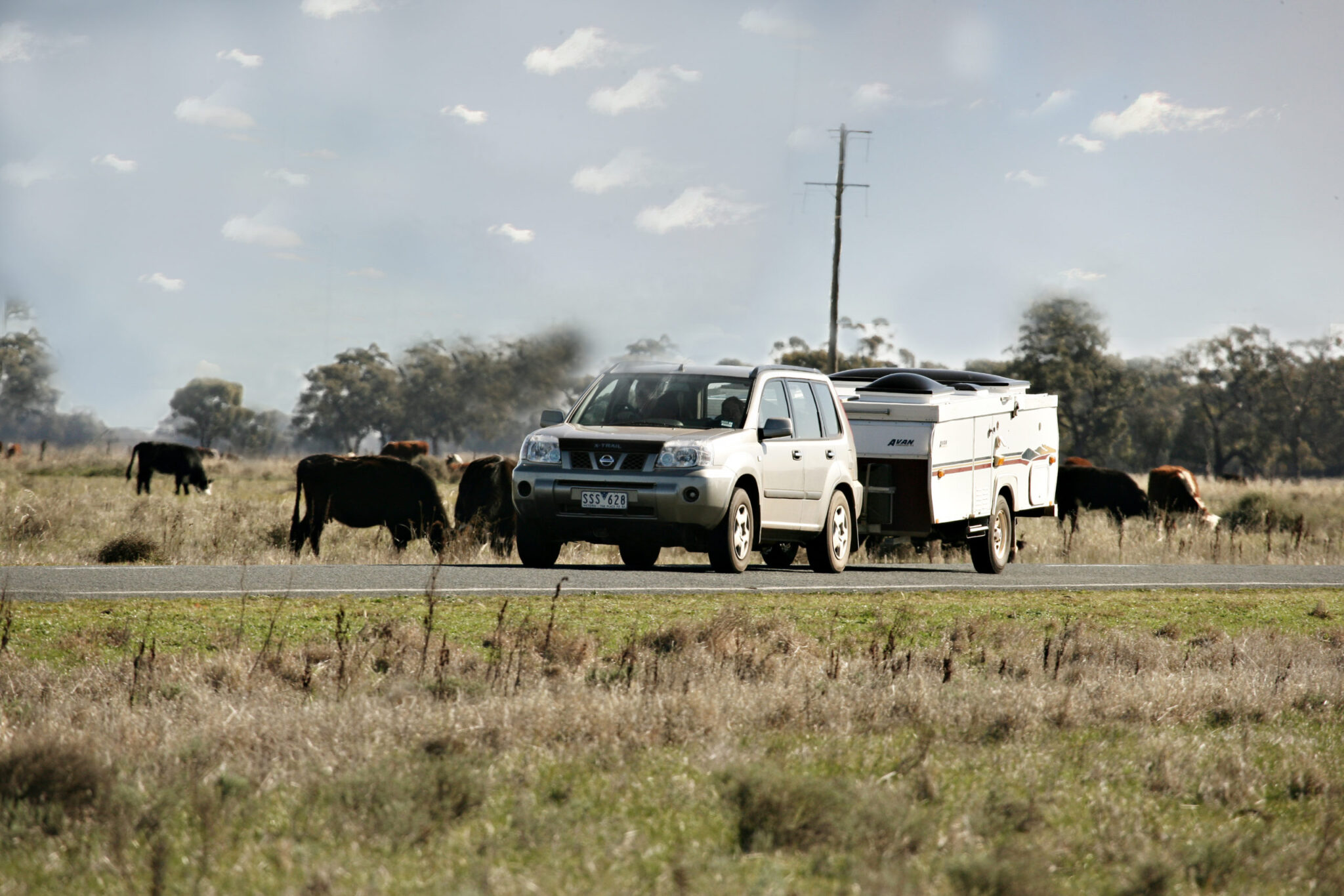Long Paddock Touring Route - The Riverina
