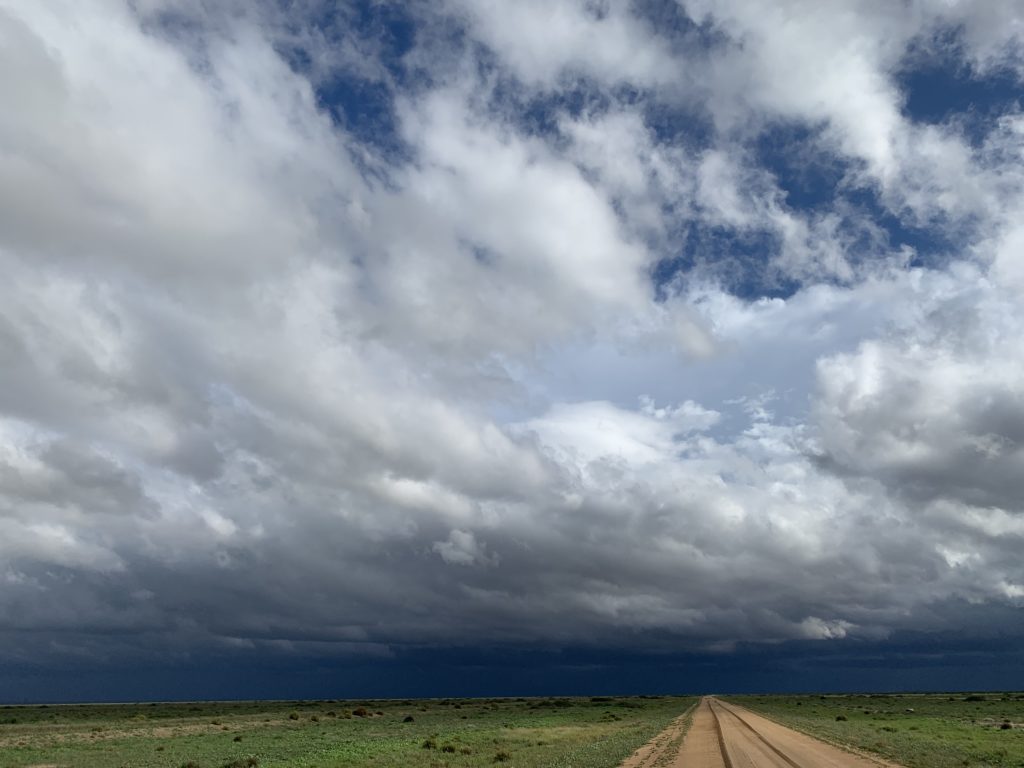 Hay Plains - The Riverina