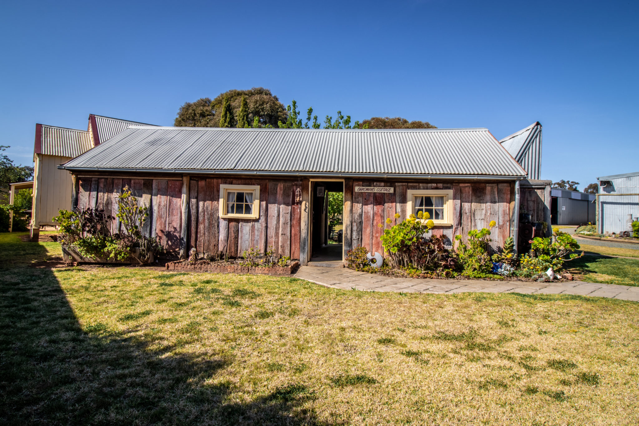 Golden time to travel the Canola Trail - The Riverina