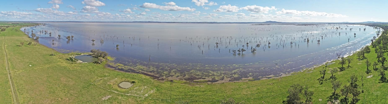 Wildflowers and Wildlife - The Riverina