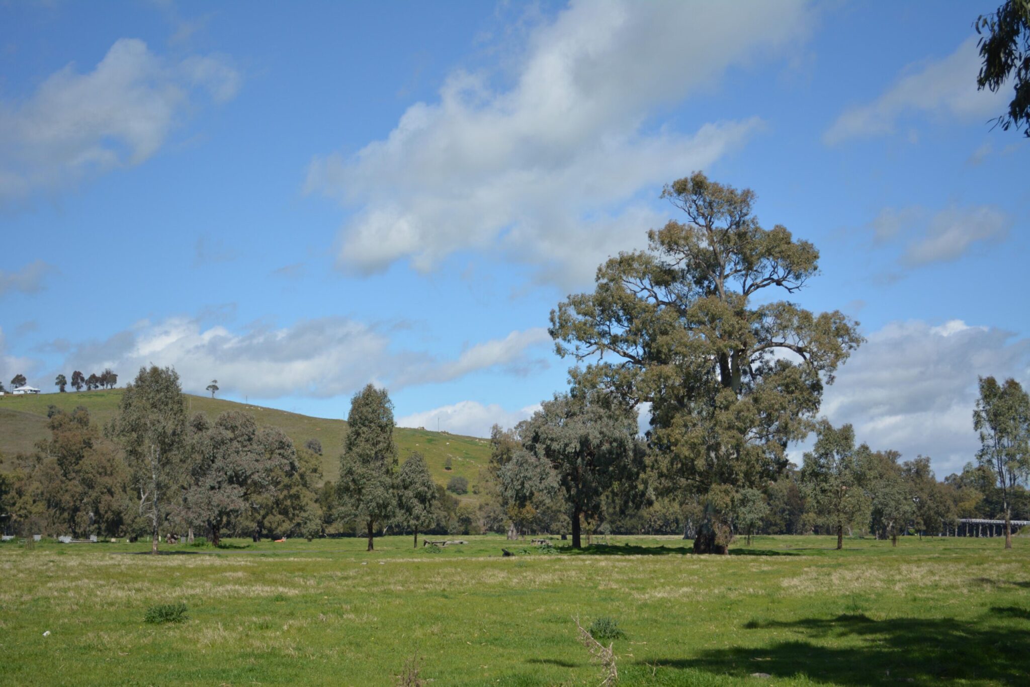 Winter Events 2022 - The Riverina