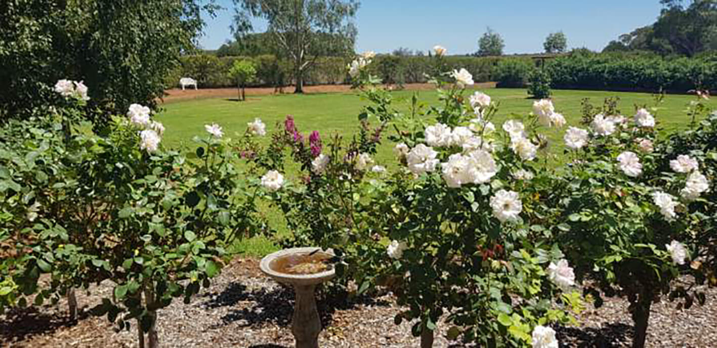 Beautiful Parks & Gardens - The Riverina